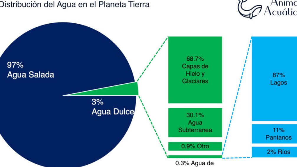 Distribución Del Agua En Los Ecosistemas Acuáticos: Lo Que Debes Saber
